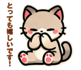 Polite Cat Stickers for Adults | Yabe-LINE貼圖代購 | 台灣No.1，最便宜高效率的代購網