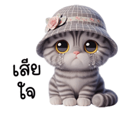 Cute cat wearing a hat, acting cute | Yabe-LINE貼圖代購 | 台灣No.1，最便宜高效率的代購網