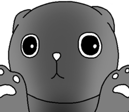 this cat is weird | Yabe-LINE貼圖代購 | 台灣No.1，最便宜高效率的代購網