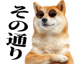 Smug face Shiba Inu Sticker | Yabe-LINE貼圖代購 | 台灣No.1，最便宜高效率的代購網