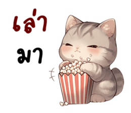 Little Tiggy Cat | Yabe-LINE貼圖代購 | 台灣No.1，最便宜高效率的代購網