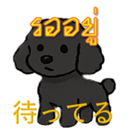 Cute black poodle with JP & TH text | Yabe-LINE貼圖代購 | 台灣No.1，最便宜高效率的代購網
