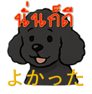 Cute black poodle with JP & TH text | Yabe-LINE貼圖代購 | 台灣No.1，最便宜高效率的代購網