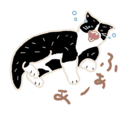 Black cat Shako | Yabe-LINE貼圖代購 | 台灣No.1，最便宜高效率的代購網