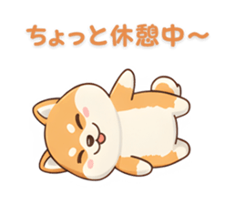 Relaxed Shiba Life (Business Edition) | Yabe-LINE貼圖代購 | 台灣No.1，最便宜高效率的代購網