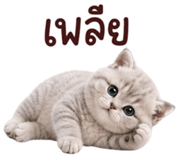 ️ตุ้ยนุ้ยแมวมูก้า ️ | iM Sticker Shop