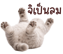 ️ตุ้ยนุ้ยแมวมูก้า ️ | iM Sticker Shop