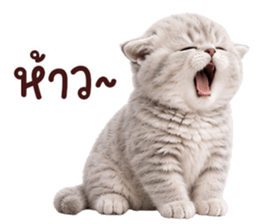 ️ตุ้ยนุ้ยแมวมูก้า ️ | iM Sticker Shop