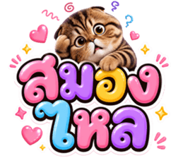 แมวน้อย หมดไฟ | iM Sticker Shop