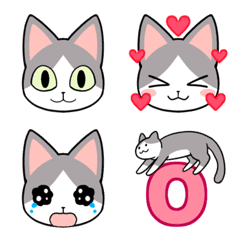 gray hachiware cat – LINE表情貼 | LINE STORE