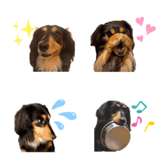 Chiroru's Emoji – Emotikon LINE | LINE STORE