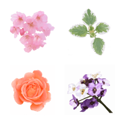 Small flowers emoji 1 – LINE Emoji | LINE STORE