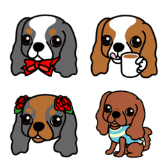 Various Cavalier Emoji – Emotikon LINE | LINE STORE