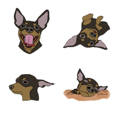 Miniature Pinscher – LINE Emoji | LINE STORE