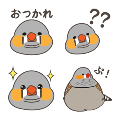 zebra finch Emoji – LINE Emoji | LINE STORE