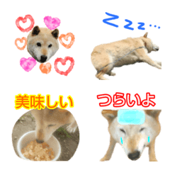 goro – LINE Emoji | LINE STORE