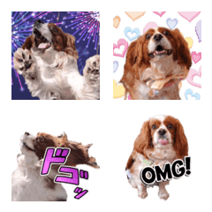cavalier emoji stamp2 – LINE表情貼 | LINE STORE