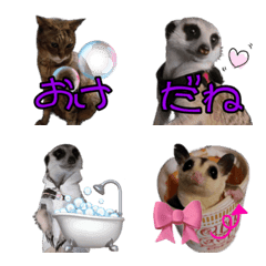 aru – LINE Emoji | LINE STORE