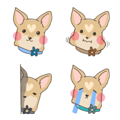 Teharu – LINE表情貼 | LINE STORE