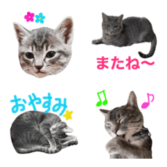 JIRO – LINE表情貼 | LINE STORE