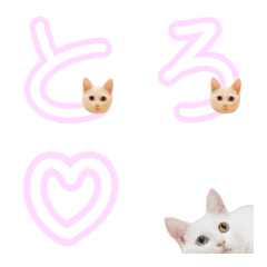 cat_toro – LINE Emoji | LINE STORE