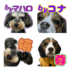 Mahalo&Kona – LINE Emoji | LINE STORE