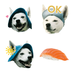 Happy Lingogo – LINE表情貼 | LINE STORE