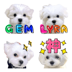 Gem n Lyra - LINE絵文字 | LINE STORE