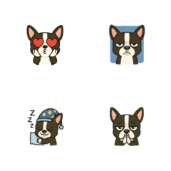 Boston Terrier Reaction Emoji Set – LINE Emoji | LINE STORE