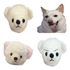 LOUIS THE DOG! - LINE絵文字 | LINE STORE