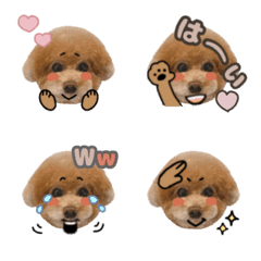 トイプードル まるこの絵文字3 4 - LINE絵文字 | LINE STORE