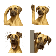 Cute! Great Dane Emoji – LINE 이모티콘 | LINE STORE